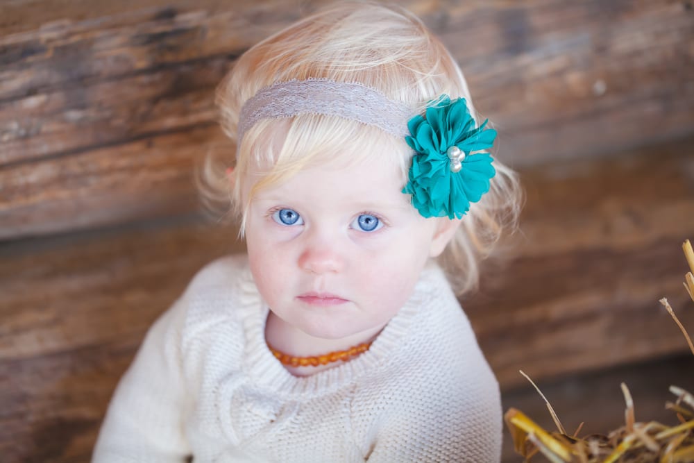 Whitley Family's Charlotte NC Family Session | Casey Hendrickson